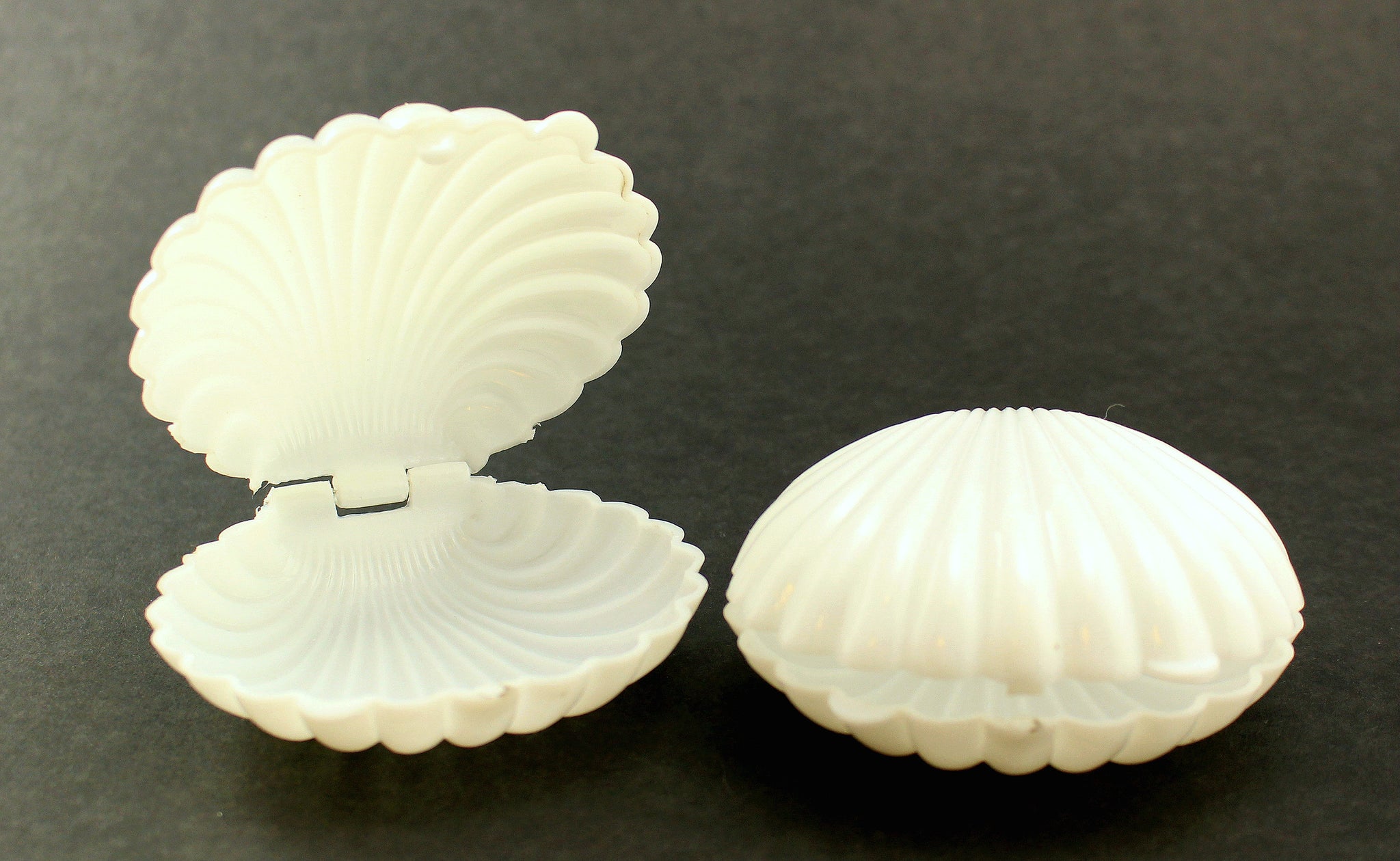 Clear & White Plastic Clam Shells Seashell Party Favors 12 Pieces ...