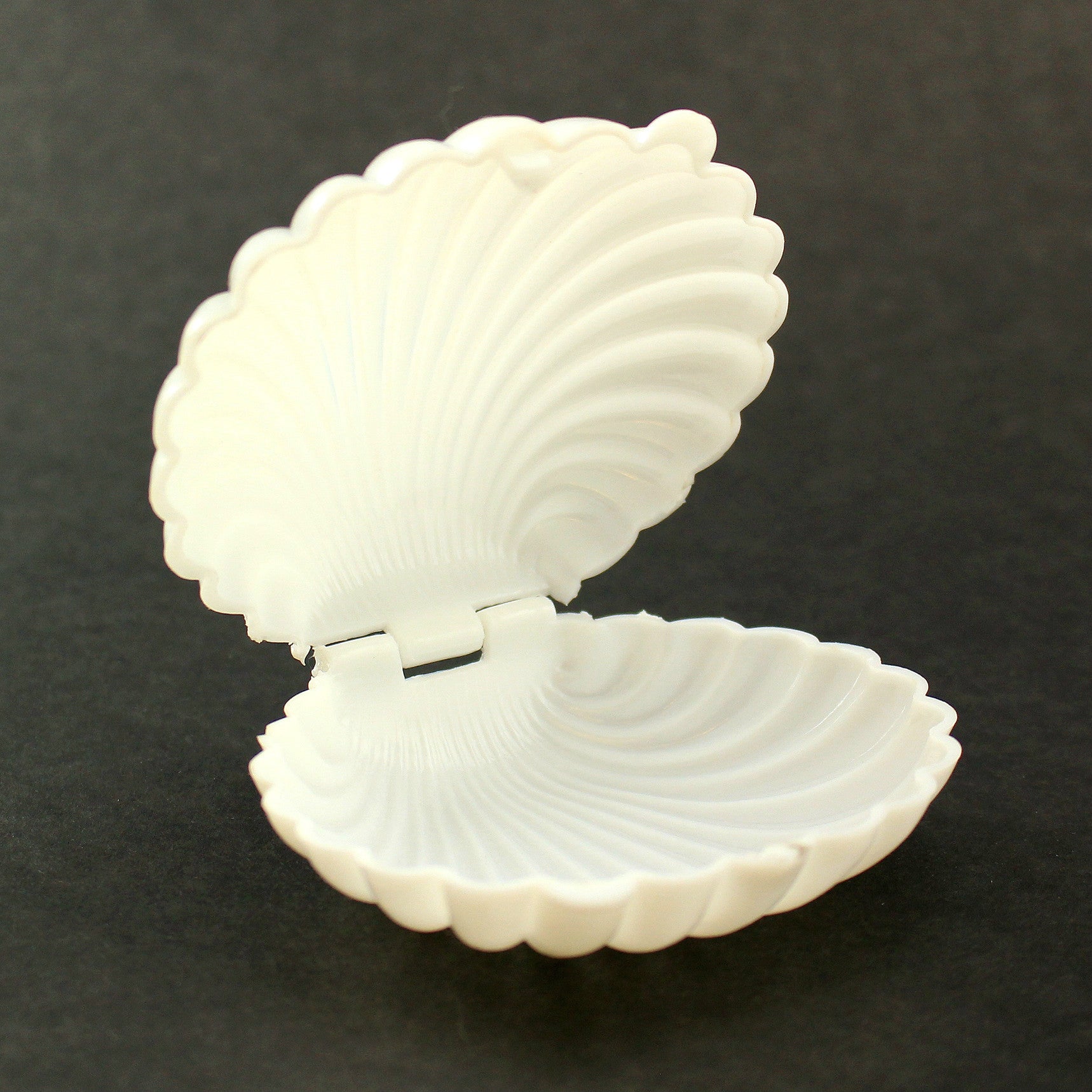 Clear & White Plastic Clam Shells Seashell Party Favors 12 Pieces ...